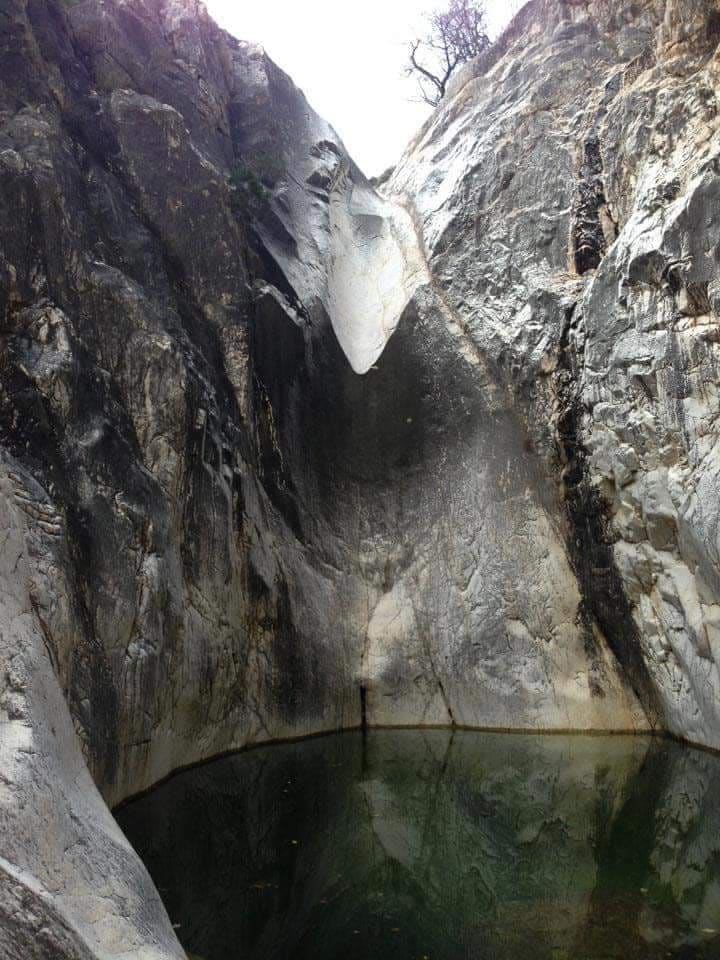 Έχει κανείς ακούσει για τα... Θεόκηπα; | Alithia.gr | online ενημέρωση για τη Χίο | ΑΛΗΘΕΙΑ ...