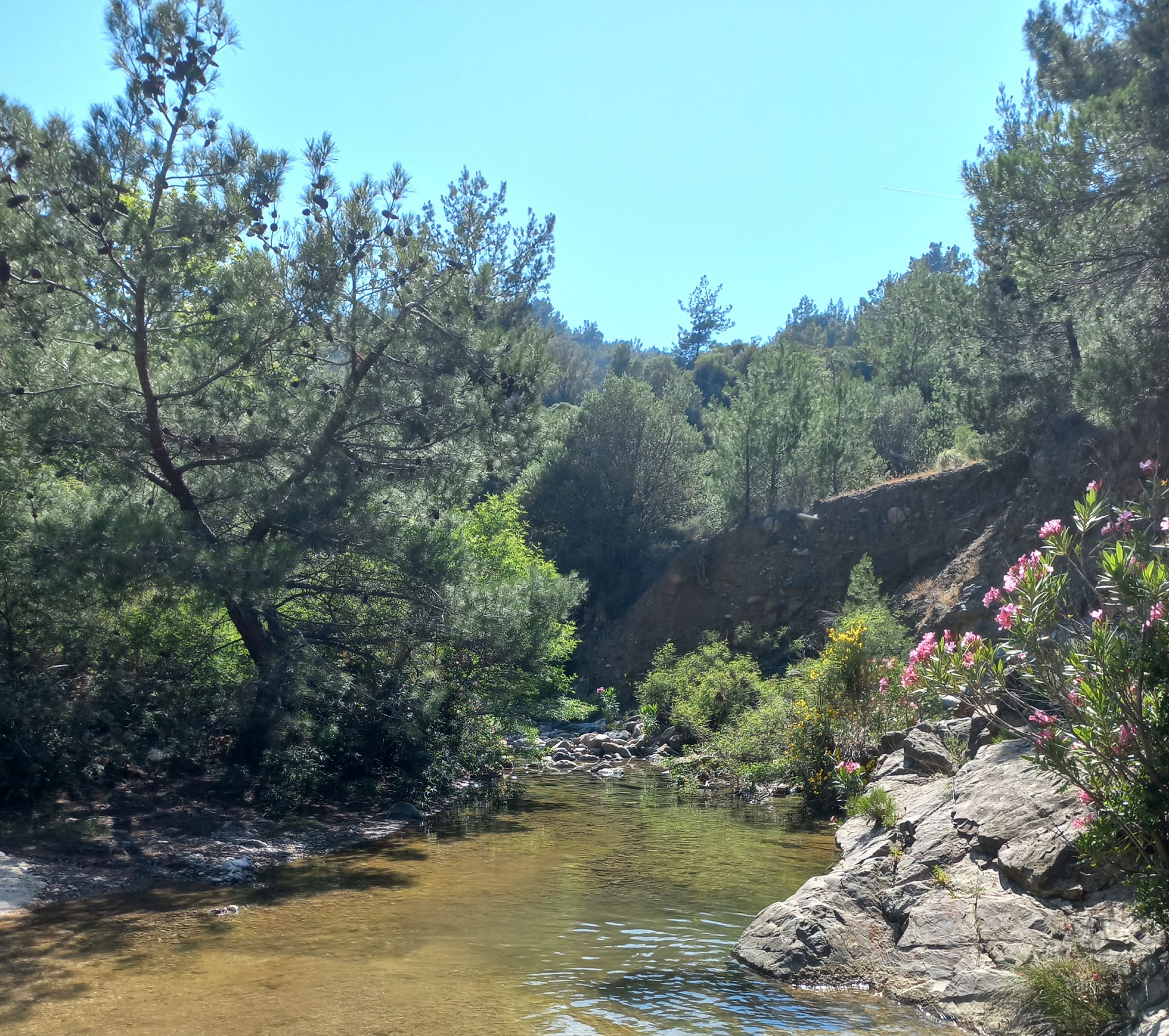 Καλημέρα Χίος | Alithia.gr