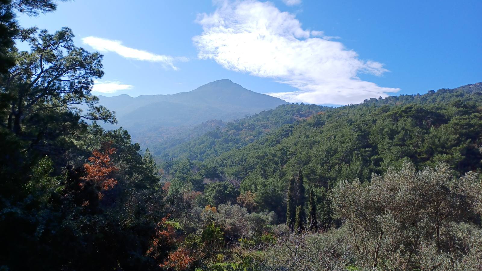 Alithia.gr | online ενημέρωση για τη Χίο | ΑΛΗΘΕΙΑ | ΕΙΔΗΣΕΙΣ | ΝΕΑ ...