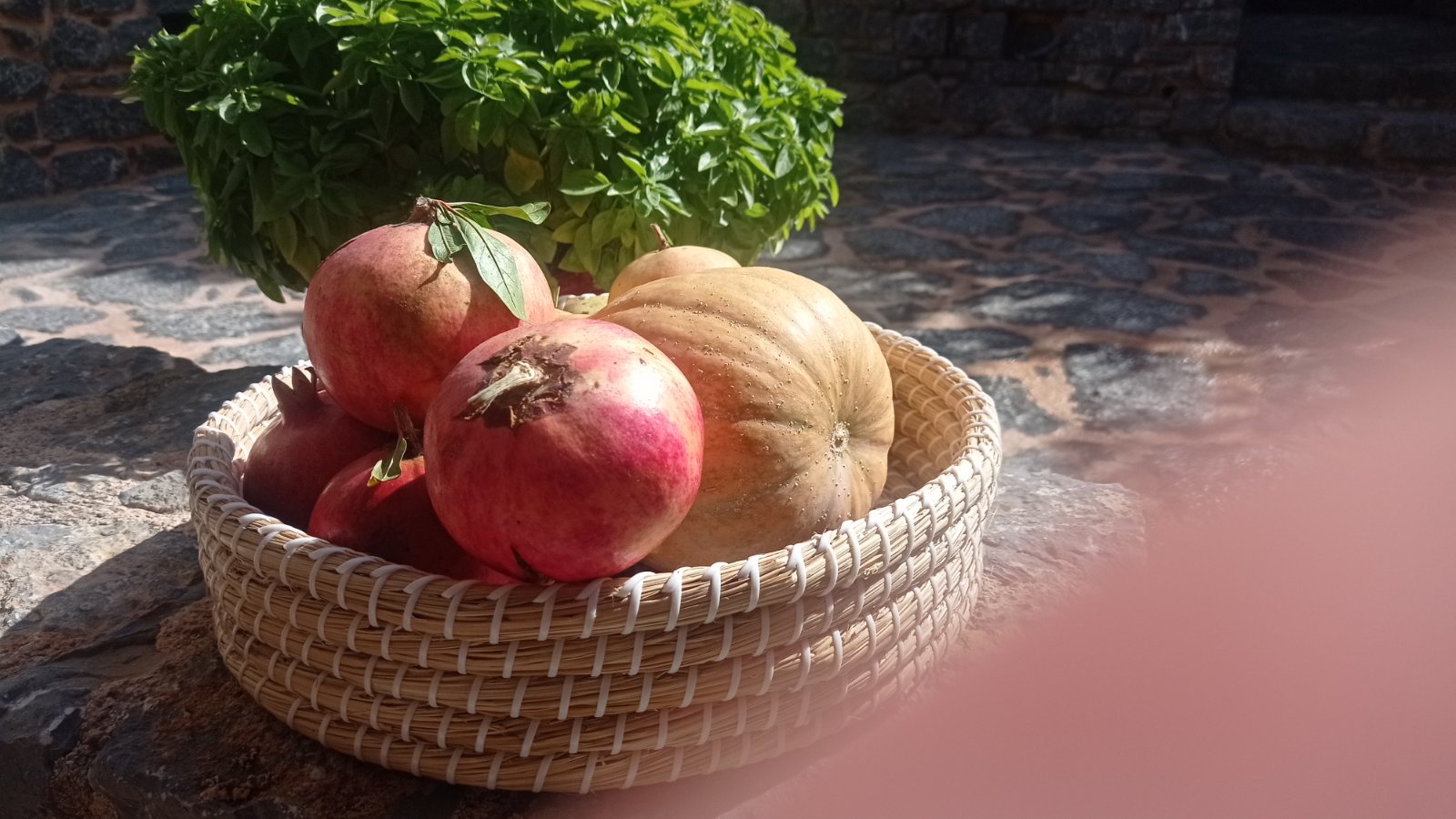 Ολύμποι. Καλημέρα | Alithia.gr