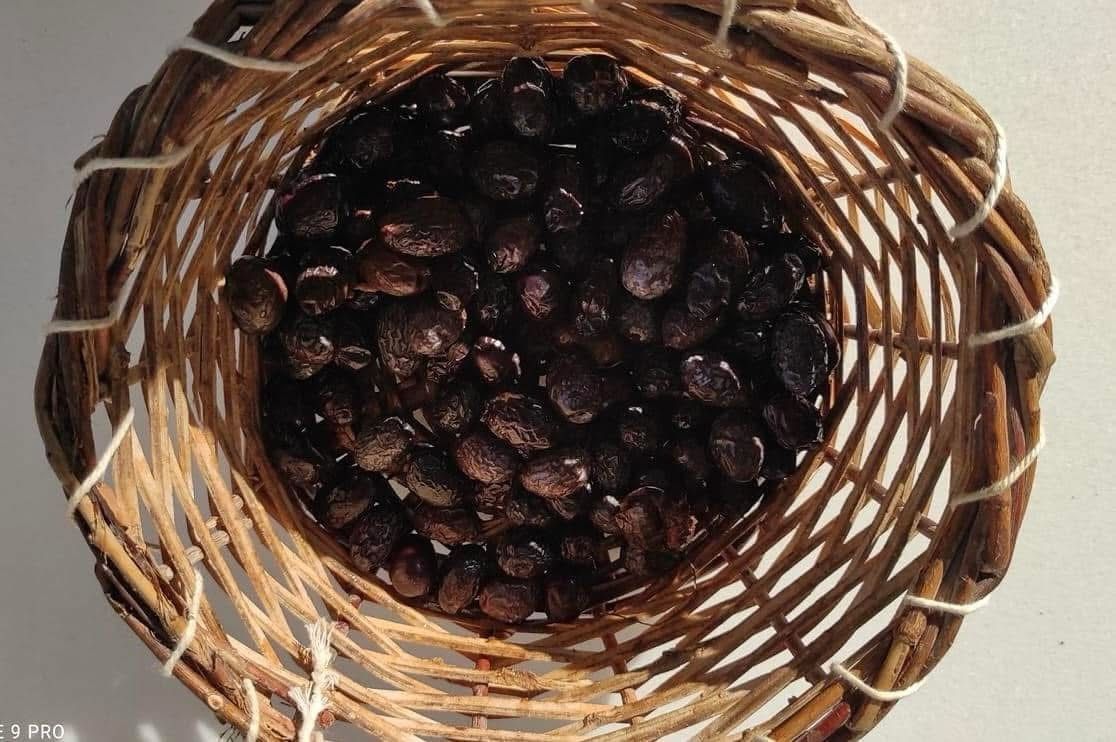 Alithia.gr | online ενημέρωση για τη Χίο | ΑΛΗΘΕΙΑ | ΕΙΔΗΣΕΙΣ | ΝΕΑ | ΧΙΟΣ | Eιδήσεις Χίος