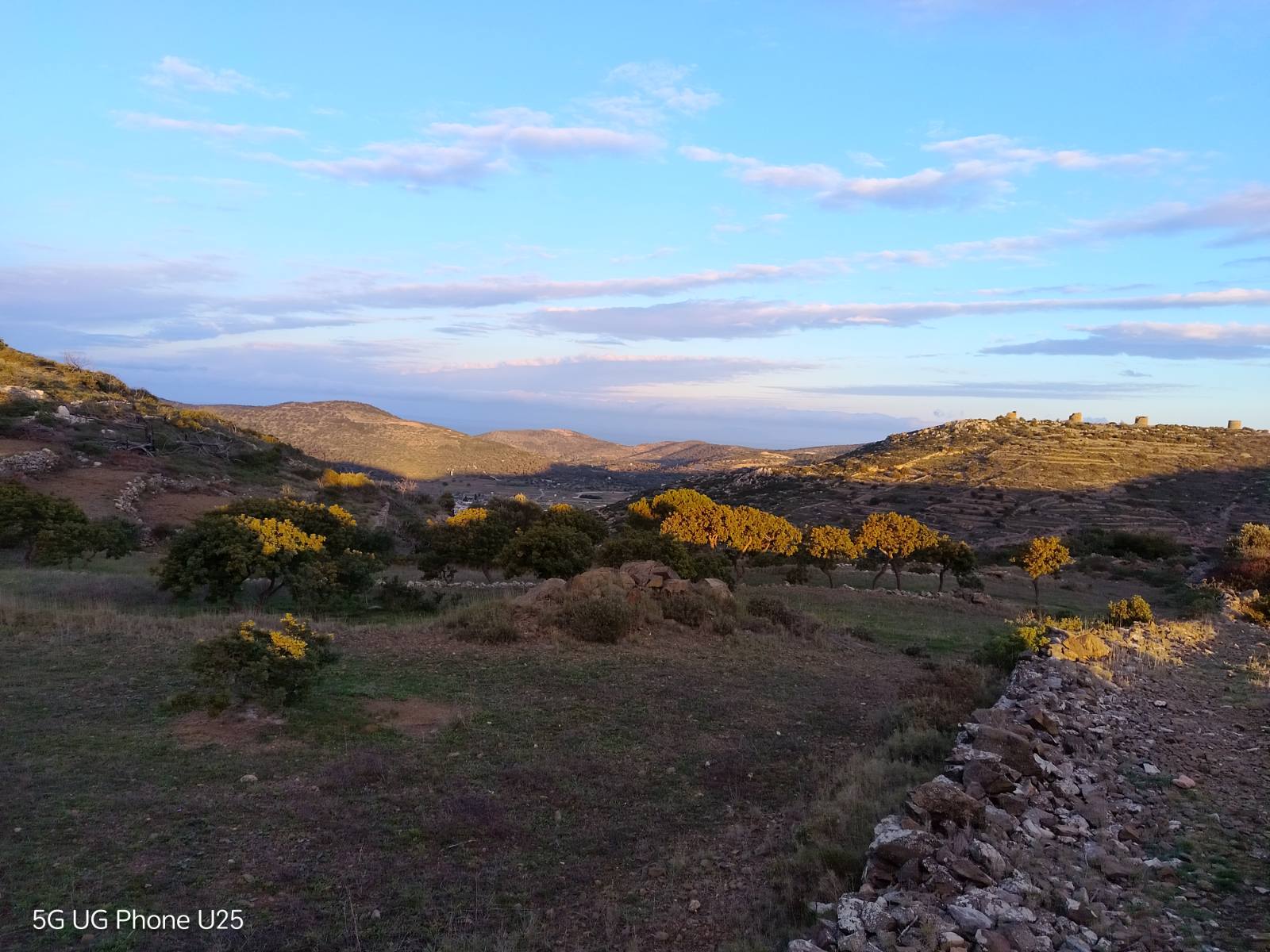 Μεστά. Καλημέρα | Alithia.gr